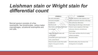 SPUTUM EXAMINATION.pptx