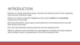 SPUTUM EXAMINATION.pptx