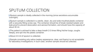 SPUTUM EXAMINATION.pptx