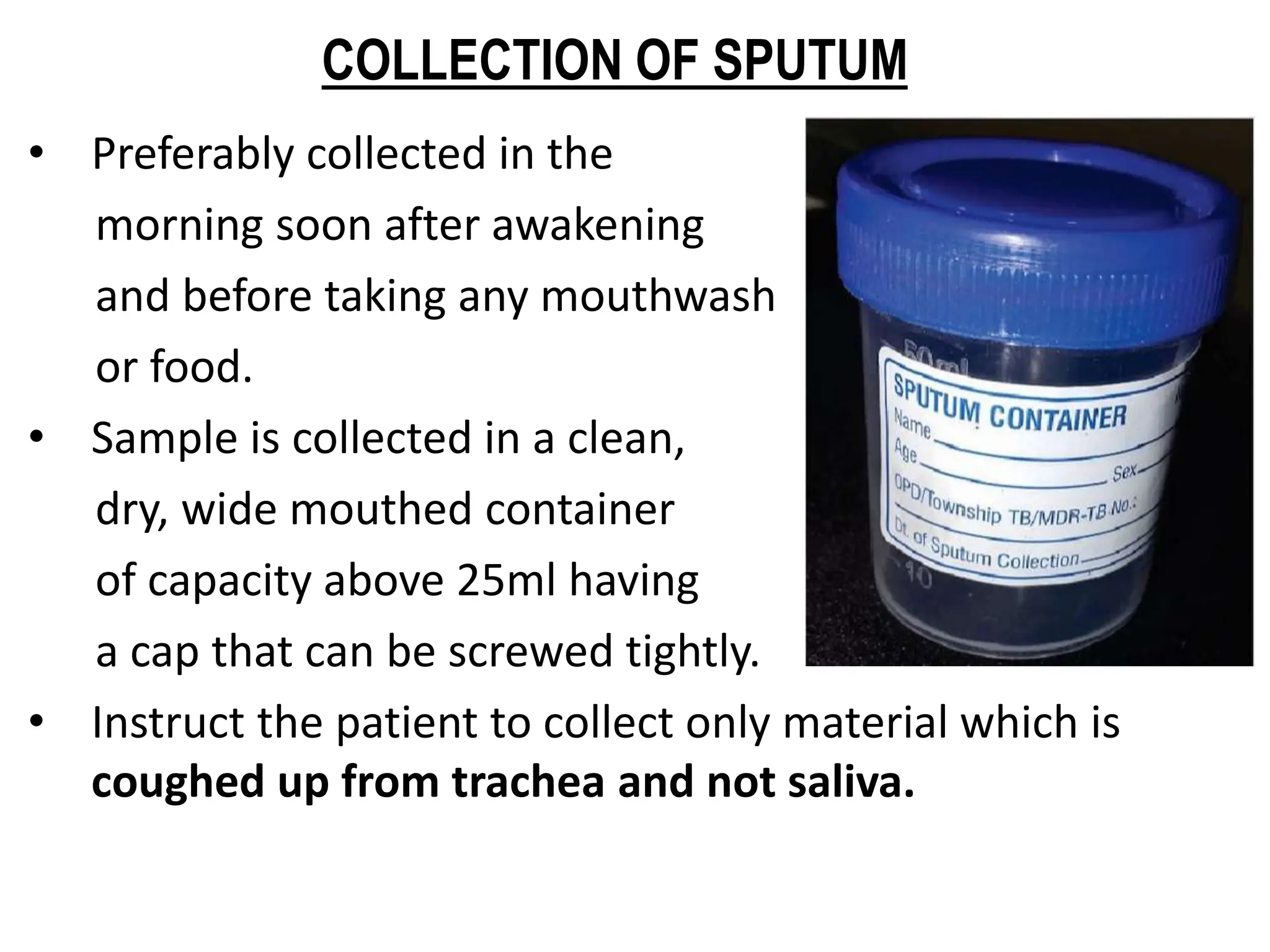 sputum examination pathology 1st year Allied health Sciences RGUHS.pptx