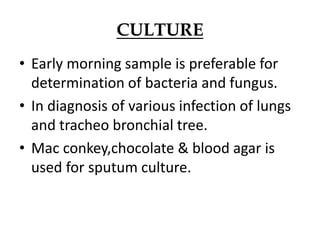 sputum examination pathology 1st year Allied health Sciences RGUHS.pptx