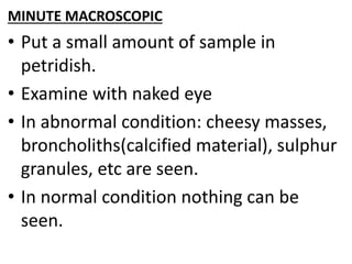 sputum examination pathology 1st year Allied health Sciences RGUHS.pptx