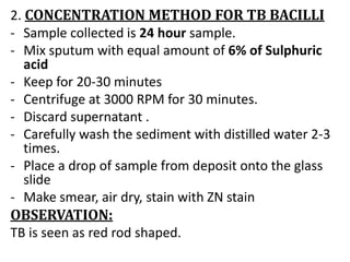 sputum examination pathology 1st year Allied health Sciences RGUHS.pptx