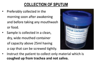 sputum examination pathology 1st year Allied health Sciences RGUHS.pptx