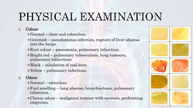 SPHYSICAL, AND MICROSCOPIC EXAMINATION OF SPUTUM | PPTX | Lung and ...