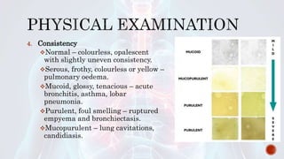 SPHYSICAL, AND MICROSCOPIC EXAMINATION OF SPUTUM | PPTX