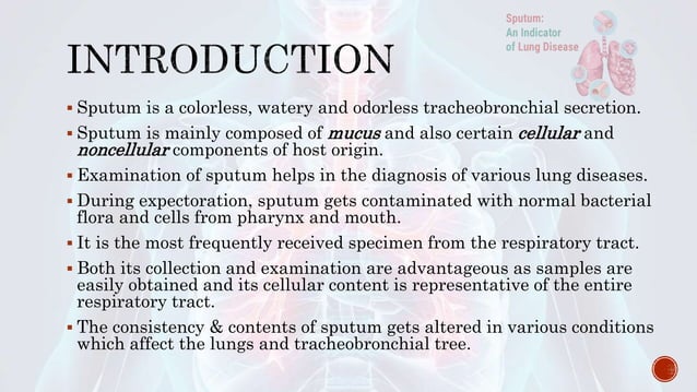 SPHYSICAL, AND MICROSCOPIC EXAMINATION OF SPUTUM | PPTX | Lung and ...