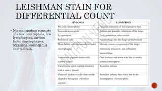 SPHYSICAL, AND MICROSCOPIC EXAMINATION OF SPUTUM | PPTX