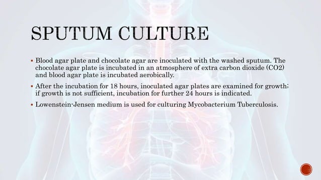 SPHYSICAL, AND MICROSCOPIC EXAMINATION OF SPUTUM | PPTX | Lung and ...
