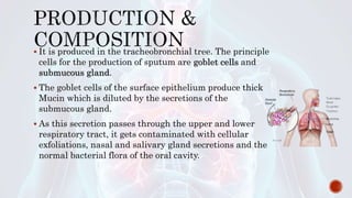 SPHYSICAL, AND MICROSCOPIC EXAMINATION OF SPUTUM | PPTX