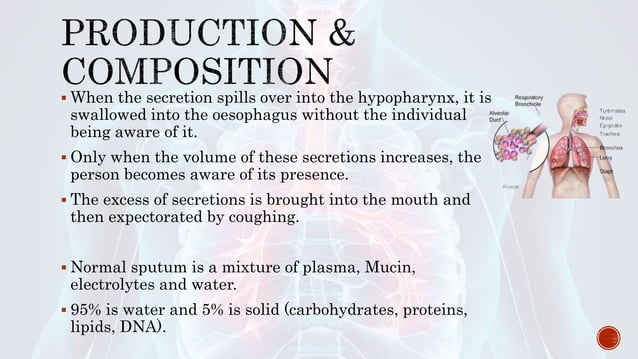 SPHYSICAL, AND MICROSCOPIC EXAMINATION OF SPUTUM | PPTX | Lung and ...