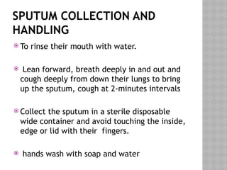 Sputum Examination and its Relevance to Clinical Practice.pptx