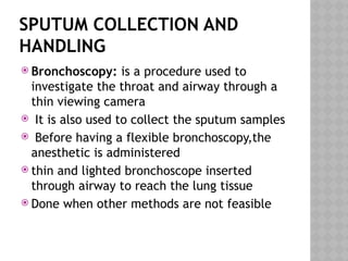 Sputum Examination and its Relevance to Clinical Practice.pptx