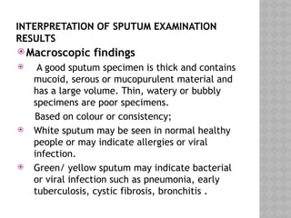 Sputum Examination and its Relevance to Clinical Practice.pptx