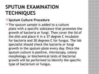 Sputum Examination and its Relevance to Clinical Practice.pptx