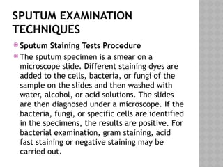 Sputum Examination and its Relevance to Clinical Practice.pptx