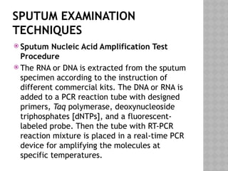 Sputum Examination and its Relevance to Clinical Practice.pptx