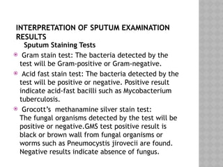 Sputum Examination and its Relevance to Clinical Practice.pptx
