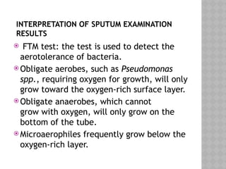 Sputum Examination and its Relevance to Clinical Practice.pptx