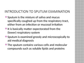 Sputum Examination and its Relevance to Clinical Practice.pptx