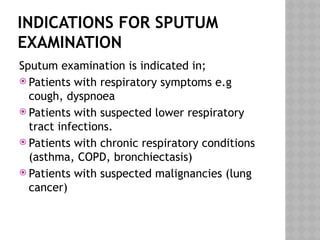 Sputum Examination and its Relevance to Clinical Practice.pptx