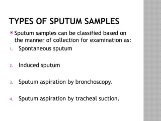 Sputum Examination and its Relevance to Clinical Practice.pptx