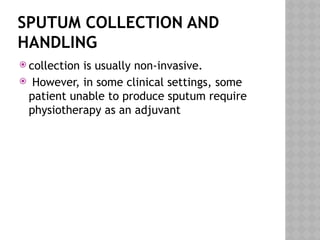 Sputum Examination and its Relevance to Clinical Practice.pptx