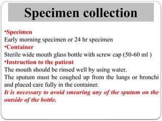 Examination of Sputum By Physical Chemical and microscopic examination ...
