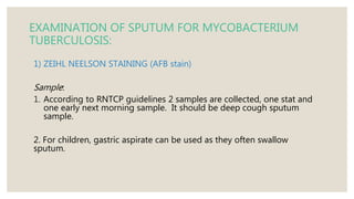 Sputum examination cytology and microscopy | PPTX