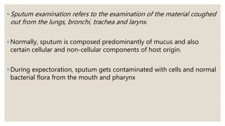 Normal Sputum