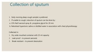 Sputum examination cytology and microscopy | PPT