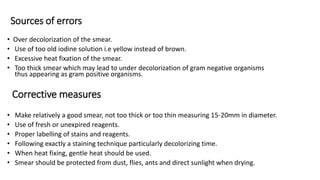 SPUTUM GRAM STAIN.pptx