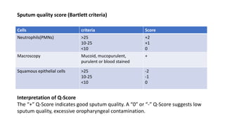 SPUTUM GRAM STAIN.pptx