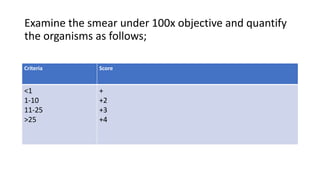 SPUTUM GRAM STAIN.pptx