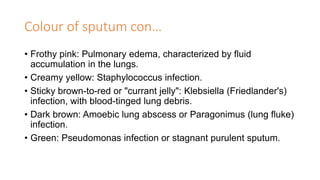 sputum respiratory expectoration (1).pptx | Lung and Respiratory Health ...