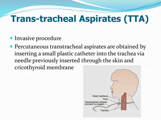 Sputum sample processing.pptx
