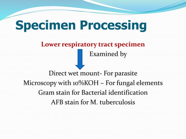 Sputum Sample Processingpptx 4133