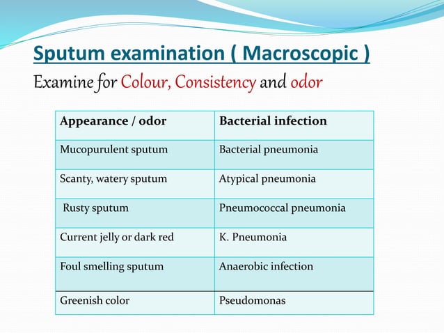 Sputum sample processing.pptx
