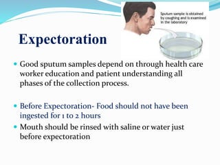 Mucopurulent Sputum Sample