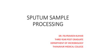 SPUTUM CULTURE PROCESSING AND REPORTING.pptx
