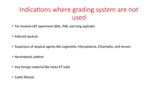 SPUTUM CULTURE PROCESSING AND REPORTING.pptx