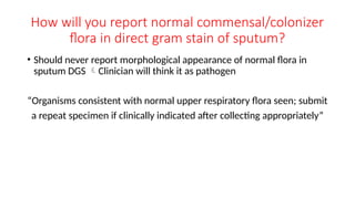 SPUTUM CULTURE PROCESSING AND REPORTING.pptx