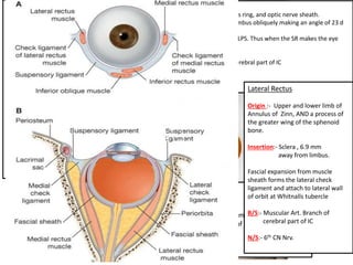 Extra ocu.movement by pushkar dhir | PPT