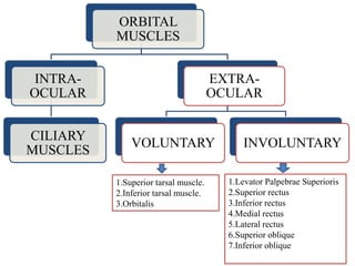Extra ocu.movement by pushkar dhir | PPT