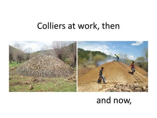 Char presentation11 3 soul-ution | PPT