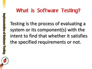Implementation of Software Testing | PDF