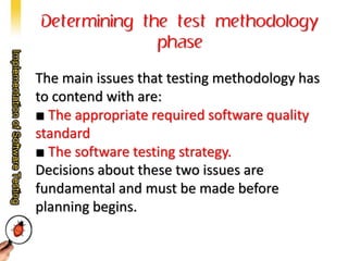 Implementation of Software Testing | PDF