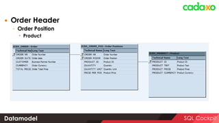 SQL Cockpit 3.1 - Overview | PDF