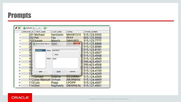 Oracle SQL Developer Reports | PPTX