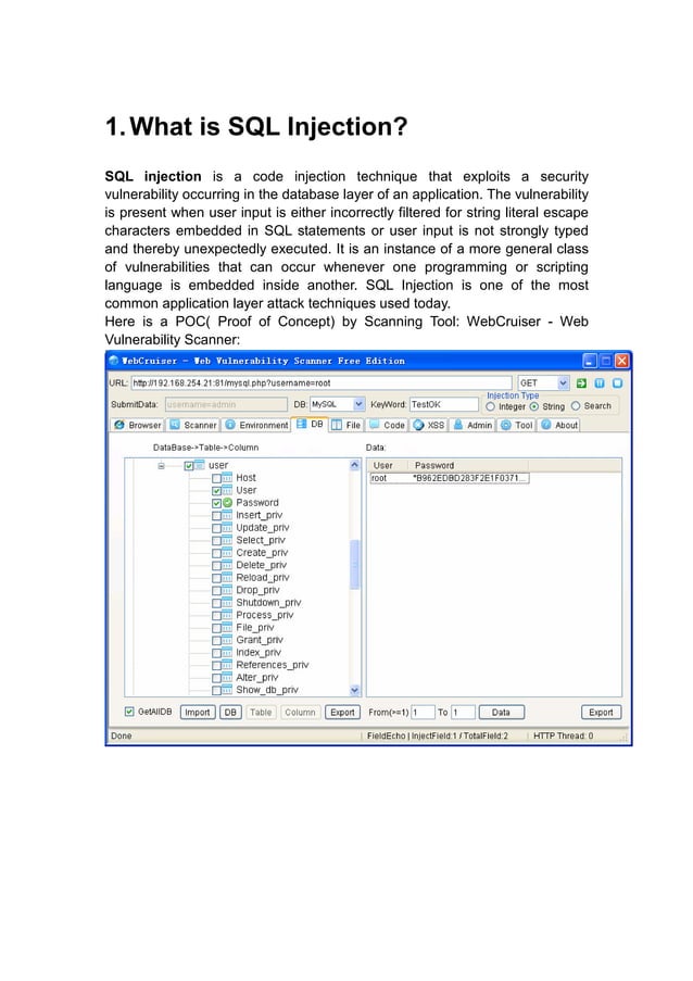 Sql Injection Pdf